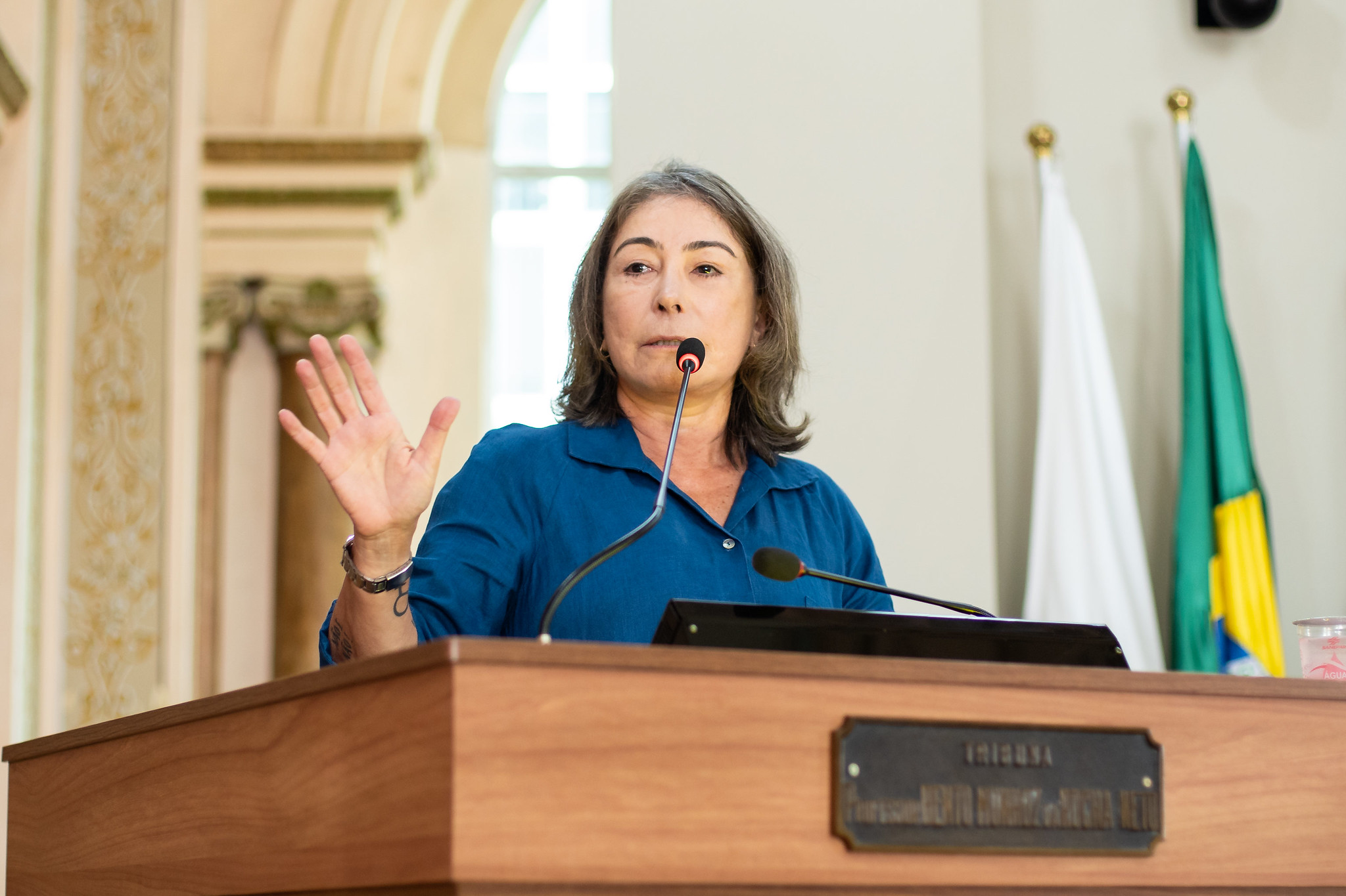 Vereadora de Curitiba vira ré por dirigir embriagada - Crusoé