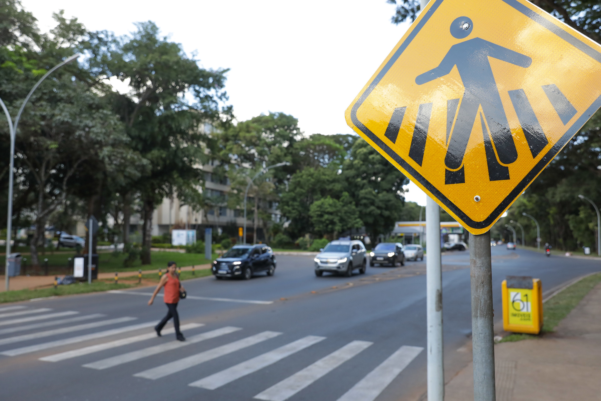 Faixas de pedestre, um patrimônio de Brasília? - Crusoé